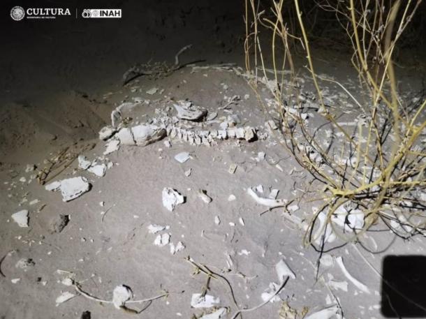 The Man from Bilbao: Unearthing A Hunter-Gatherer in the Coahuila ...