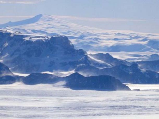 Scientists Find 280-Million-Year-Old Fossilized Forest…in Antarctica ...