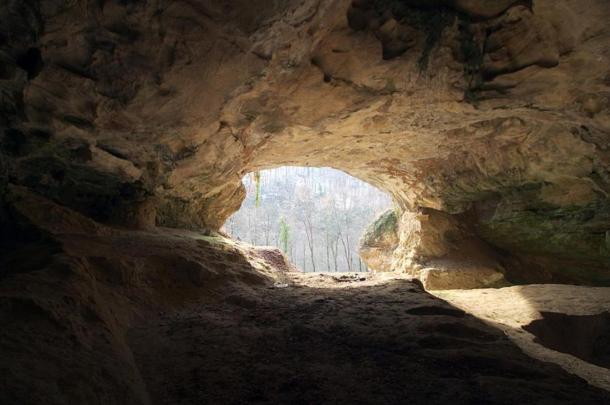 Jawbone shows Modern Human 40,000 years ago had Neanderthal Great-Great ...