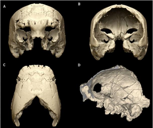At Nearly Half a Million-Years-Old, the Fossil of a Human Cranium ...