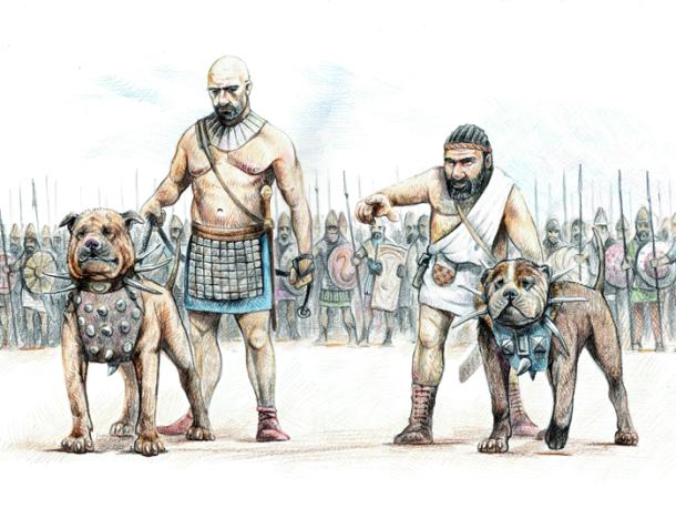 Becerrillo: The Terrifying War Dog of the Spanish Conquistadors ...