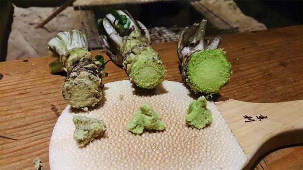 Wasabi Is Innovative ‘Green’ Solution for Preserving Ancient Papyrus ...