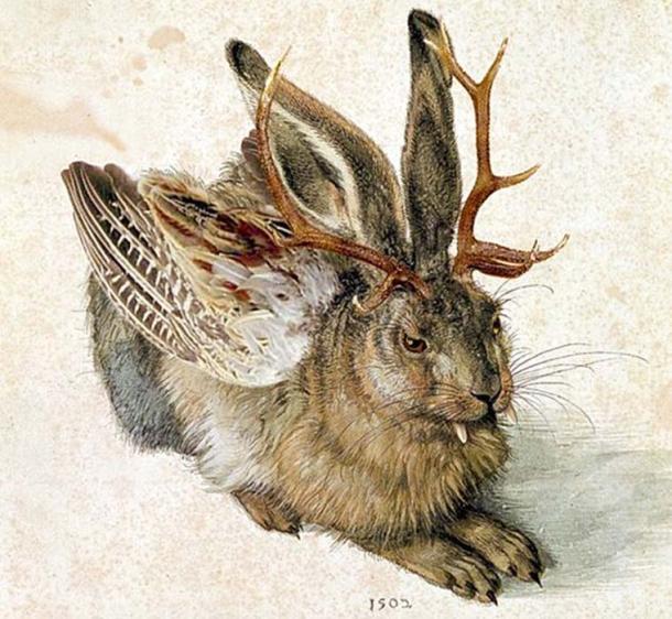 The Truth Behind the Jackalope and Those Who Hunt the Elusive Warrior ...