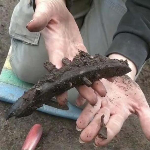 Thousands of Artifacts Emerge from Lost Ancient Viking City of Sea ...