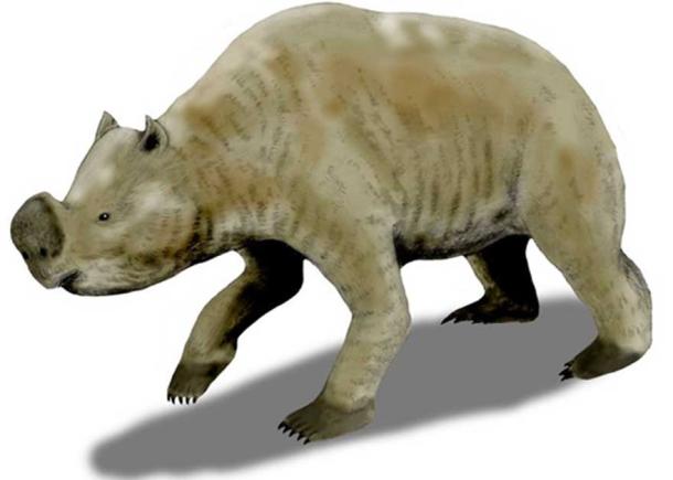 Aboriginal Australians Co-Existed with the Megafauna for at Least ...