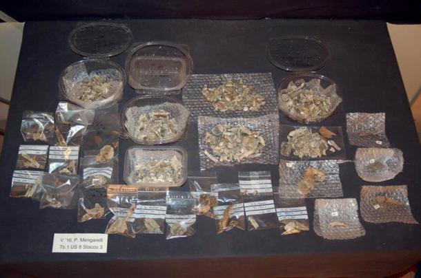 Rich Tomb of an Etruscan Princess Discovered in Italy | Ancient Origins