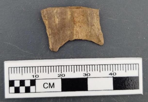 Stash of Paleoindian Artifacts Found at 12,000-Year-Old Connecticut ...