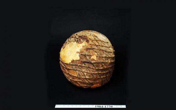 Fascinating Asphalt-Coated Skulls Excavated in Israel Date to 7,000 BC ...