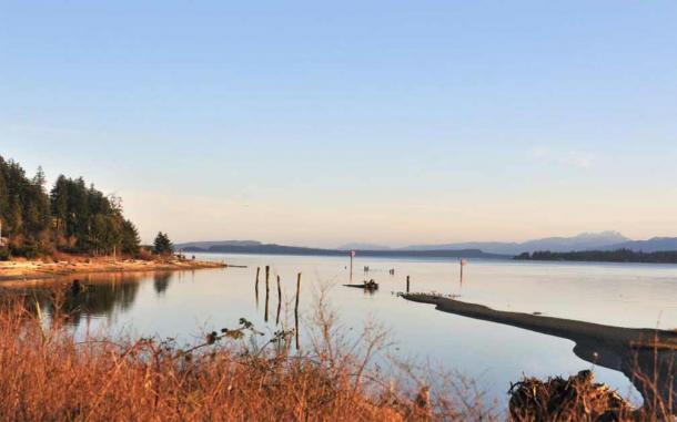 First Nation K’ómoks Advanced Fishing Traps Revealed in British ...