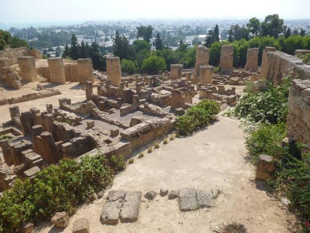 New DNA Study Reveals How Phoenician Culture Spread in the Ancient ...