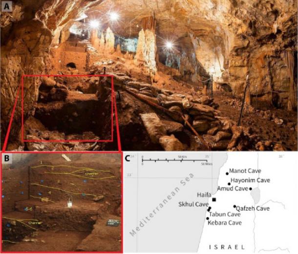 Aurignacian Secrets Revealed in Cutting-Edge Dental Research | Ancient ...