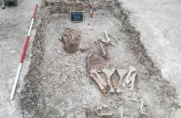 Jute Cemetery Find Yields Evidence of 5th Century English Origins ...