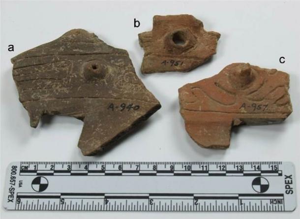 DNA Studies Reveals True Origins of First Inhabitants of the Caribbean ...