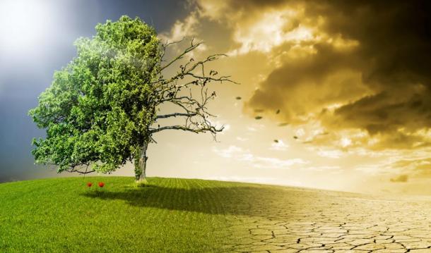 New Data Platform Illuminates History of Human Environmental Impact ...