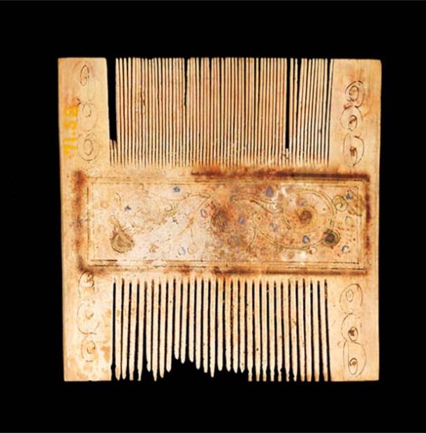 Blood-Stained Ivory: The Dark History of the Trade in Elephant Tusks ...