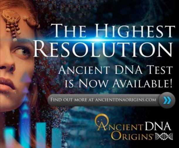 Ancient DNA Unveils Celtic Dynasties: Power and Kinship in Pre-Roman ...