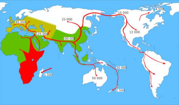Genetic Study Reveals Hidden Chapter in Story of Human Evolution ...