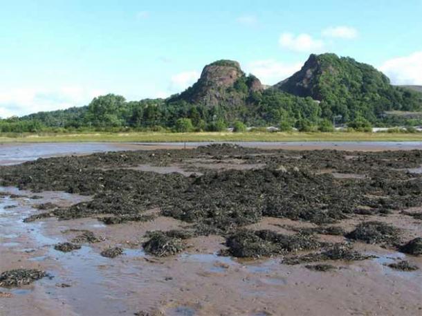 Fakes and Controversy on the River Clyde: The Case of Dumbuck Crannog ...