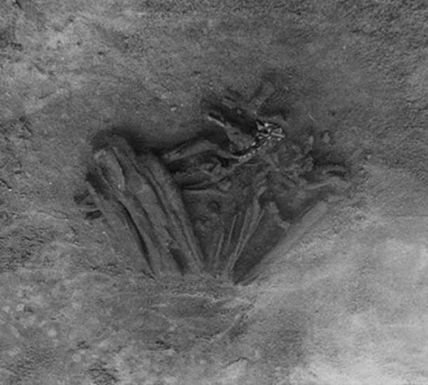 Mesolithic Burials in Europe from 8,000 Years Ago Point to Earliest ...