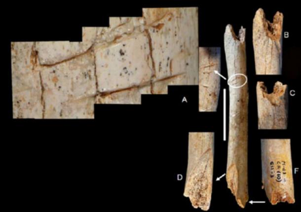 Strange rituals or cannibalism? Neanderthals manipulated bodies of ...