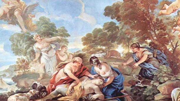 The Godly Beauty of Adonis, Alluring Lover of the Greek Gods | Science ...