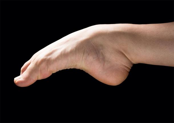 Scientists Study 3.5-Million-Year-Old Origins of Unique Human Spring ...