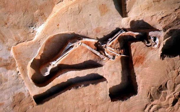 Mungo Man Returns Home: There is Still Much He Can Teach Us About ...