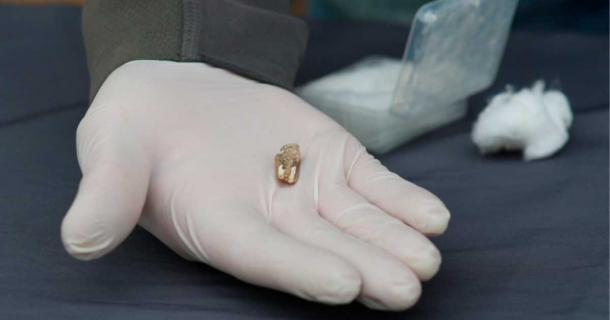 Early Humans Out Of Africa 18 Mya Tooth Found In Orozmani Georgia Science And Technology