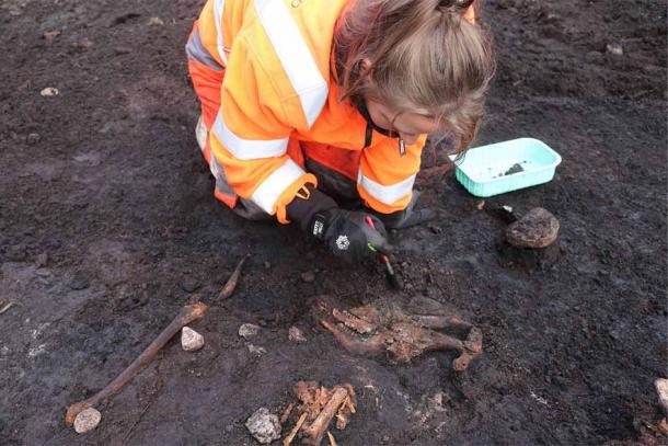 Exciting Find of a Neolithic Bog Body in Denmark | Science and ...
