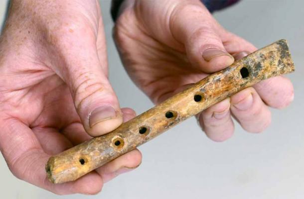 Striking the Right Note - Rare Bone Flute Unearthed in Kent | Science ...