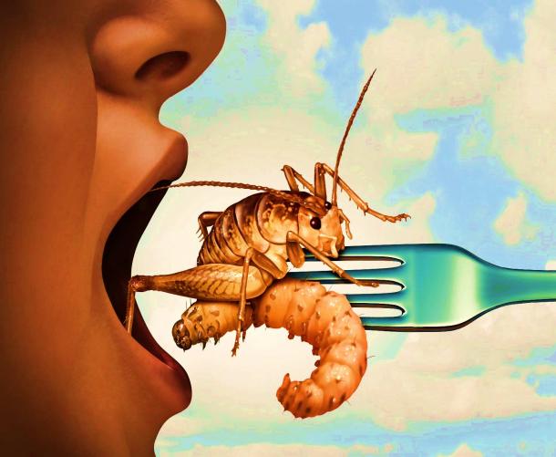 Eating Insects: The History of the Human Hunger for Bugs | Science and ...