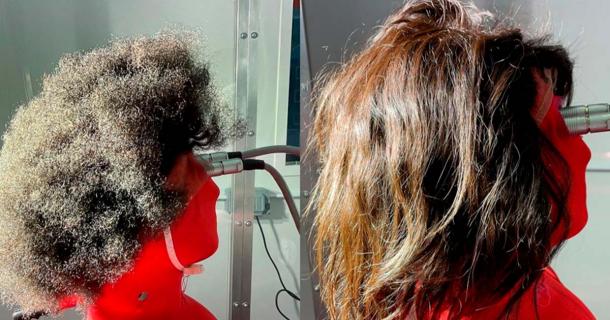 Hair Texture Helped Ancient Human Brains Expand 2-Million-Years-Ago ...