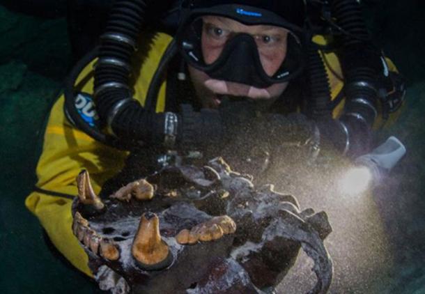 Fossils of Giant Prehistoric Beasts Discovered in Underwater Ice Age ...