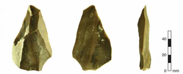 Humans Used Alternate Migration Route Out of Africa 80,000 Years Ago ...