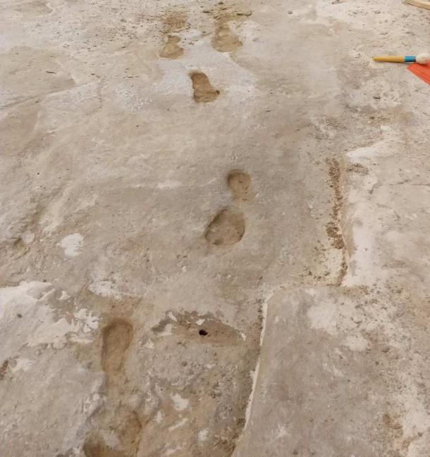 23,000-Year-Old Human Footprints Found In New Mexico Are Revolutionary ...