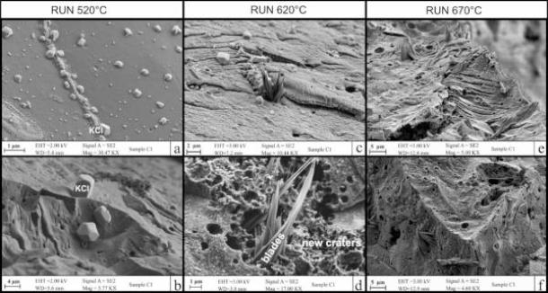 Roman Man's Brain Turned to Glass by 79 AD Mount Vesuvius Eruption ...