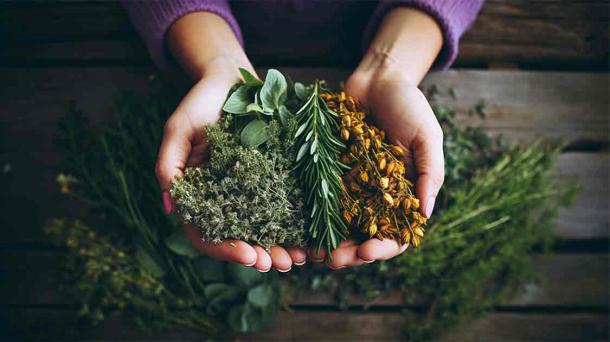 Ancient Healing Methods Offer an Alternative Paradigm in Health ...