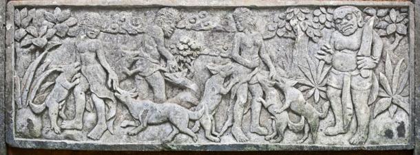 New Data Platform Illuminates History of Human Environmental Impact ...