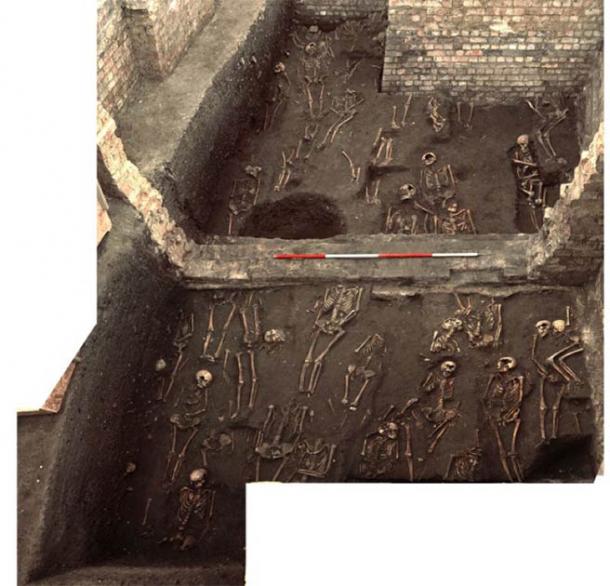 Skeletal Trauma Reveals Class Inequality in Medieval Cambridge ...