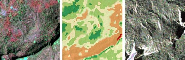 Locating Legendary Paititi: Long-Lost Last City Of The Inca | Ancient ...