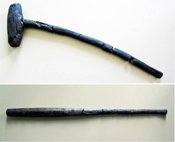 Archaeologists Discover Tollense Battle Was Actually A Massacre ...