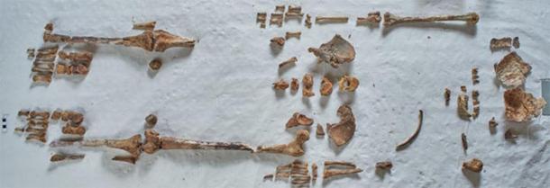 Bones of Medieval Saint and Princess Found Hidden in Church Wall ...