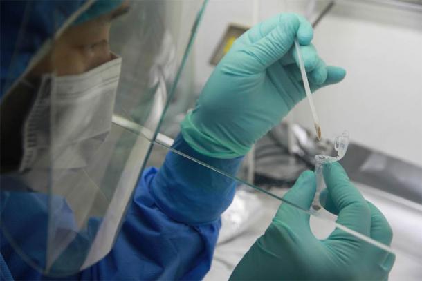 Denisovan DNA in Tibetan Cave Changes History of Early Humans in Asia ...