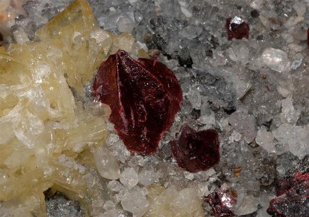 The Deadly Elixir of Life – Was a Shot at Immortality Worth the Risk ...