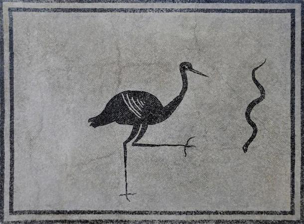 How Stork Legends, Myths and Omens Set Their Place in History | Ancient ...