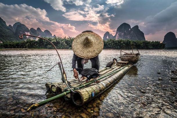 Man and Bird Join Forces: The Unique Tradition of Cormorant Fishing ...