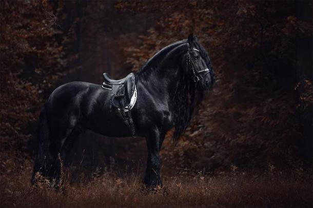 The Frisians: Fierce Fighters of The North Sea Coasts | Ancient Origins
