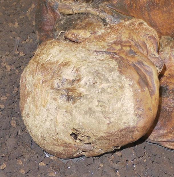 Lindow Man – What Killed England’s Oldest Celebrity? | Ancient Origins