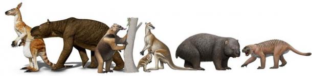 Humans Coexisted with Giant Lizards and Mega Marsupials in Australia ...