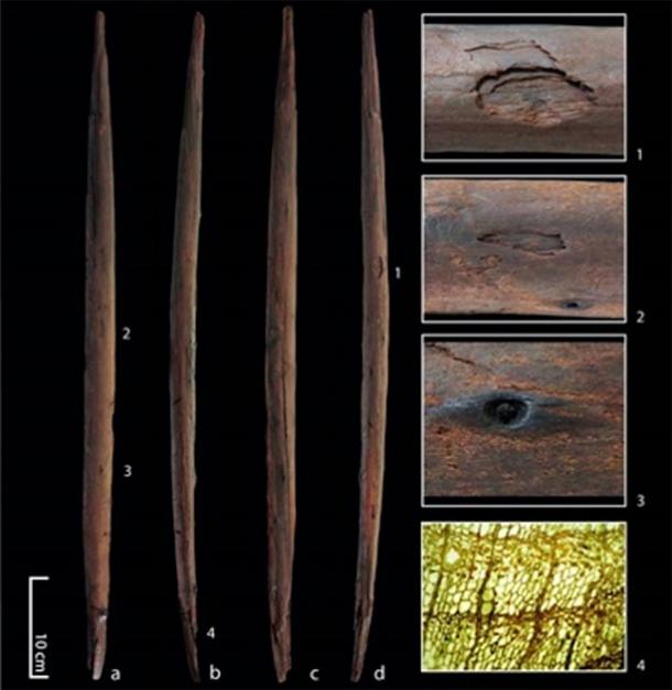 300,000-Year-Old ‘Killing Stick’ Sheds Light on Evolution of Hunting ...